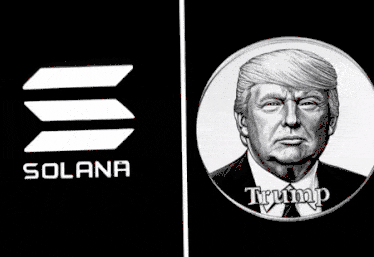 In addition to the launch of the Trump meme coin on Solana ...