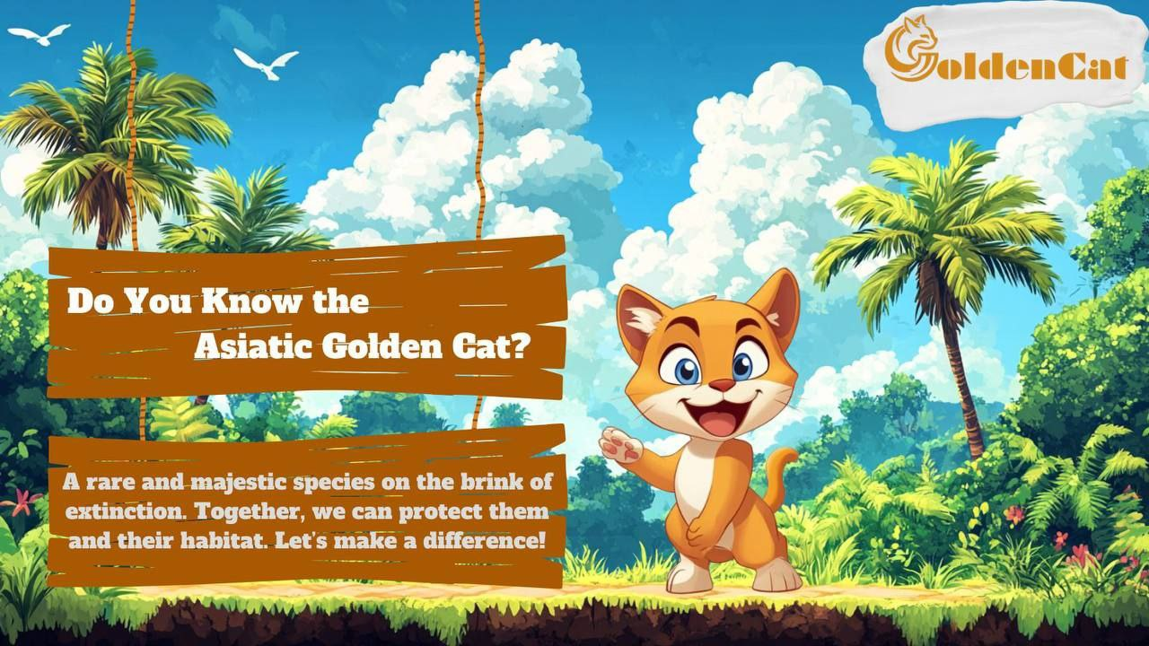 Golden Cat Token: The Ultimate Fusion of Blockchain Gaming and Wildlife ...
