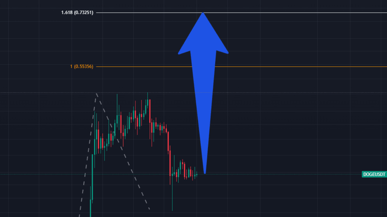 DOGE COIN SIGNAL | Crypto novice on Binance Square
