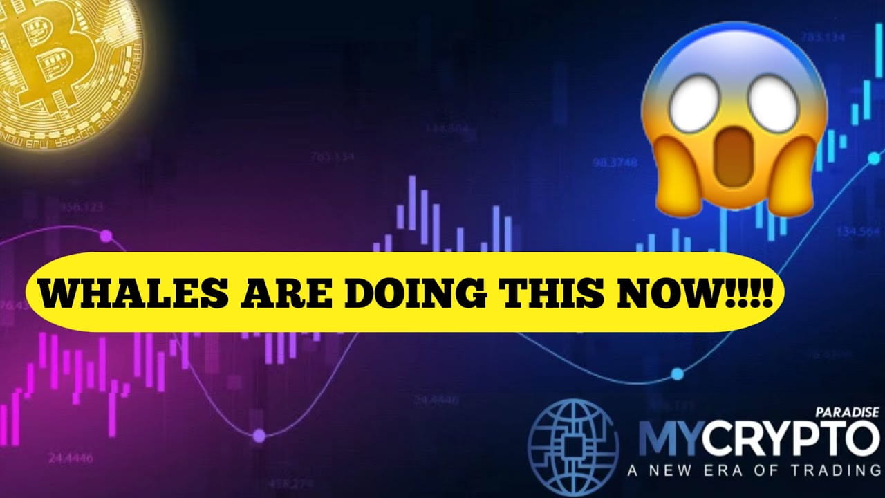 BTC s 35k Drop Spot On 38k Third Shot To Win Altcoin Rally Begins btc-s-35k-drop-spot-on-38k-third-shot-to-win-altcoin-rally-begins