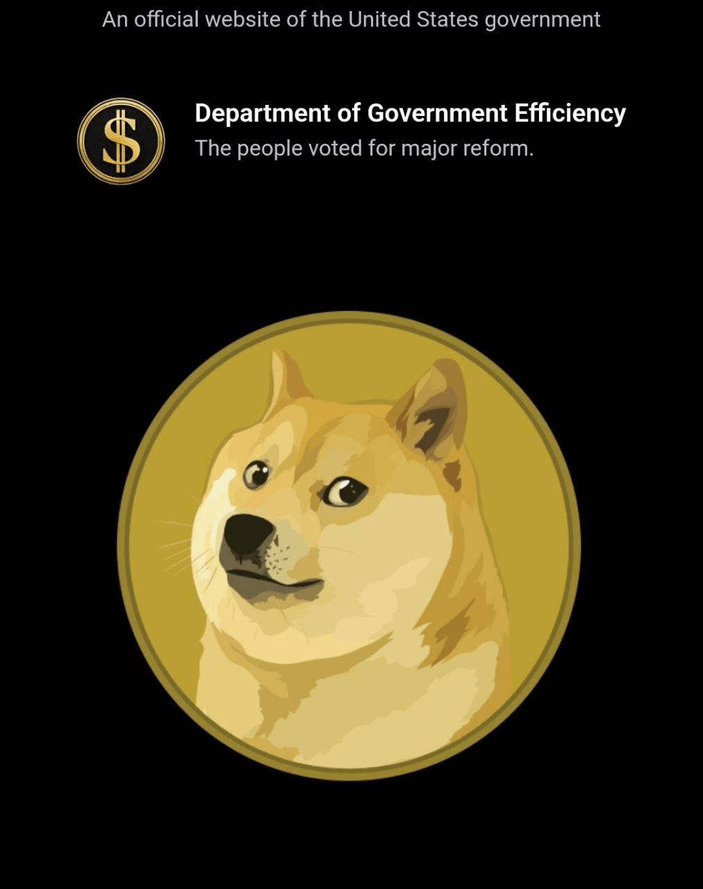 U.S. Government's Official DOGE Website Goes Live, Featuring | CRYPTO ...