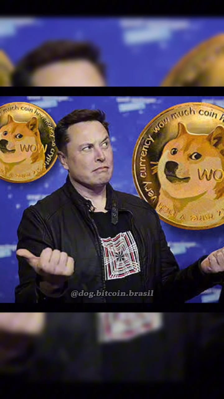 Dog To The Mon $BTC | Cripto Educa on Binance Square