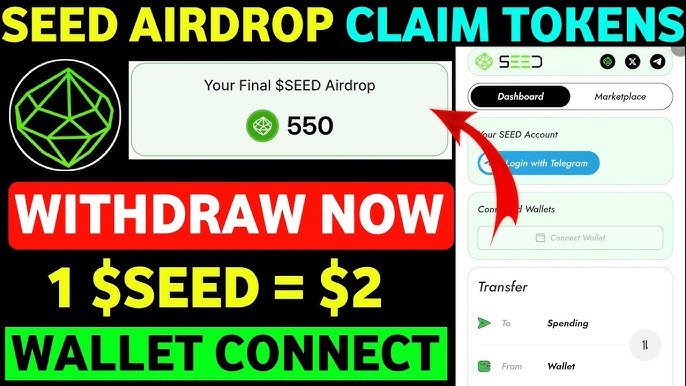 💐 SEED Airdrop Guide: 🚨 How to Participate and Claim Your Token🏕️🤑💸 ...