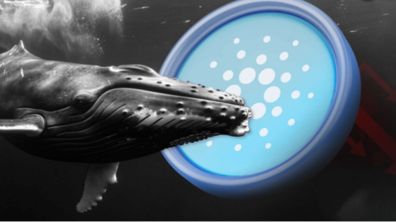 Cardano Price Recovers With 9% Gains In 24 Hours, What Next? | Cryptos Headlines on Binance Square