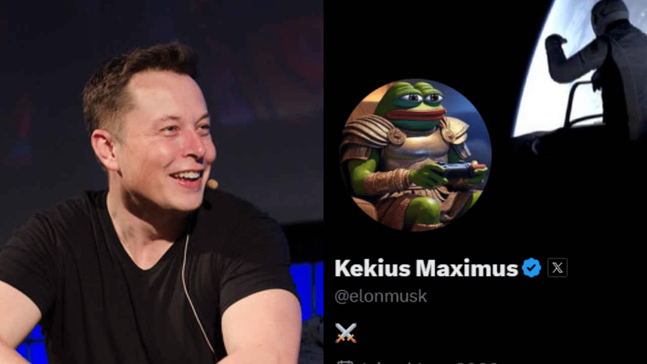 Elon Musk Changes His X Account Name to ‘Kekius Maximus’, Puts ‘Pepe ...