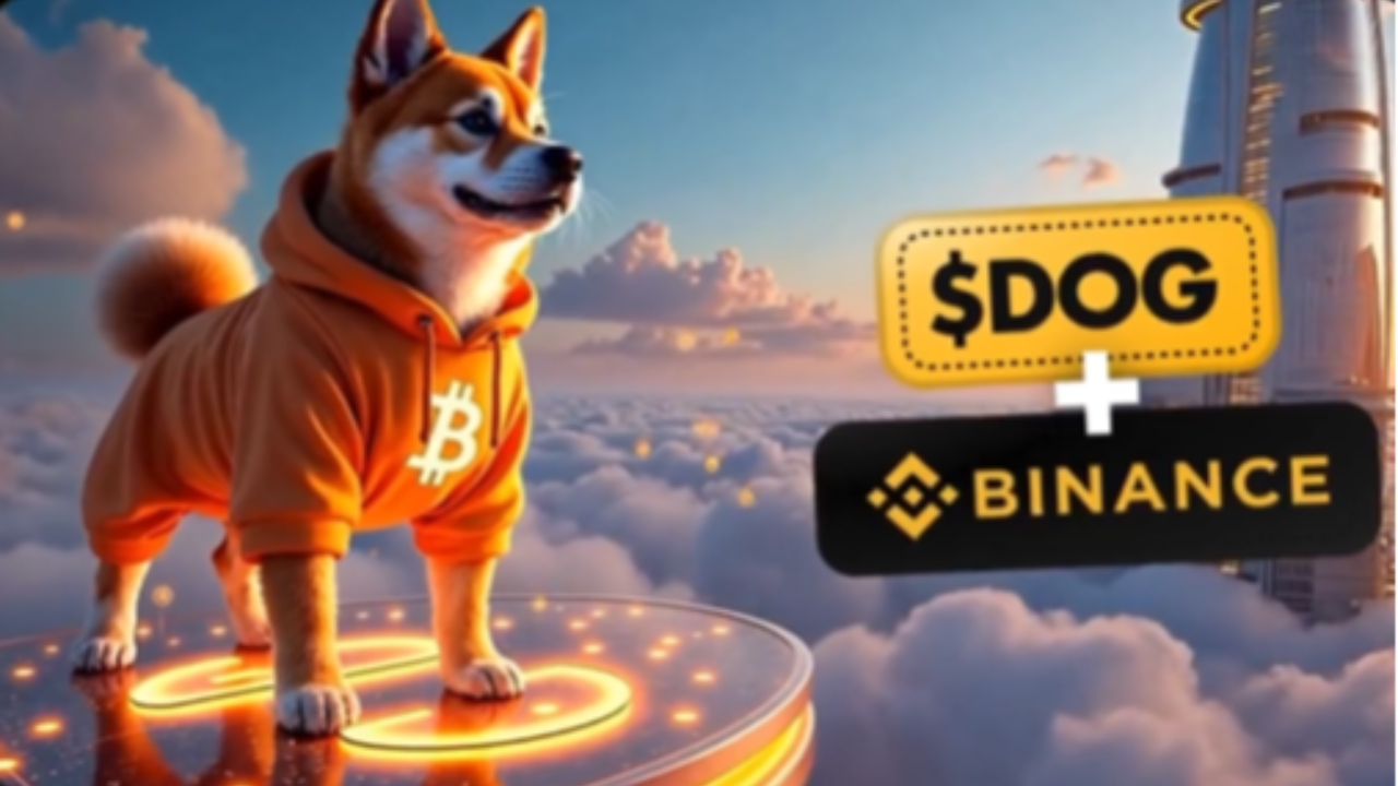 Will Binance List $DOG? | JoyBoy03 on Binance Square
