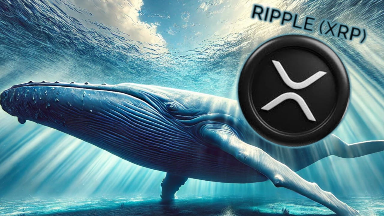 XRP Whales Dump 81 Million Coins – Will Ripple’s Price Drop Below $2? | Moon5labs on Binance Square