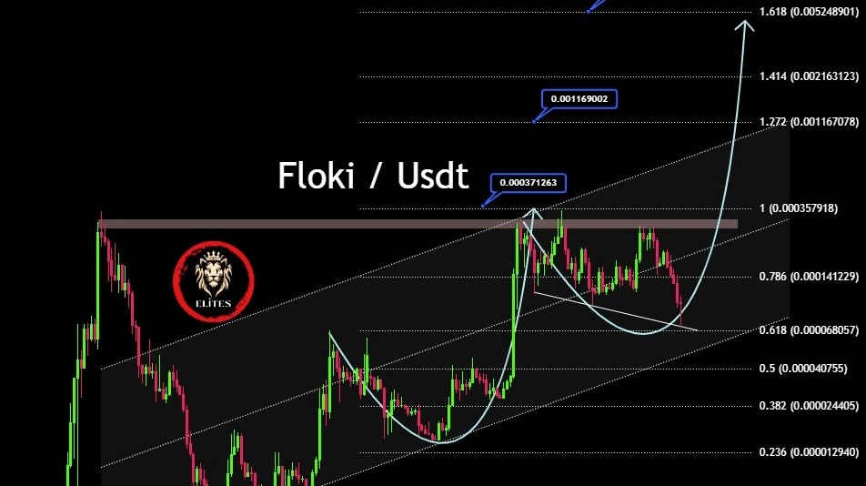 🚀 *Floki Inu (FLOKI) Chart Signals Potential 30X Move—Here’s the ...