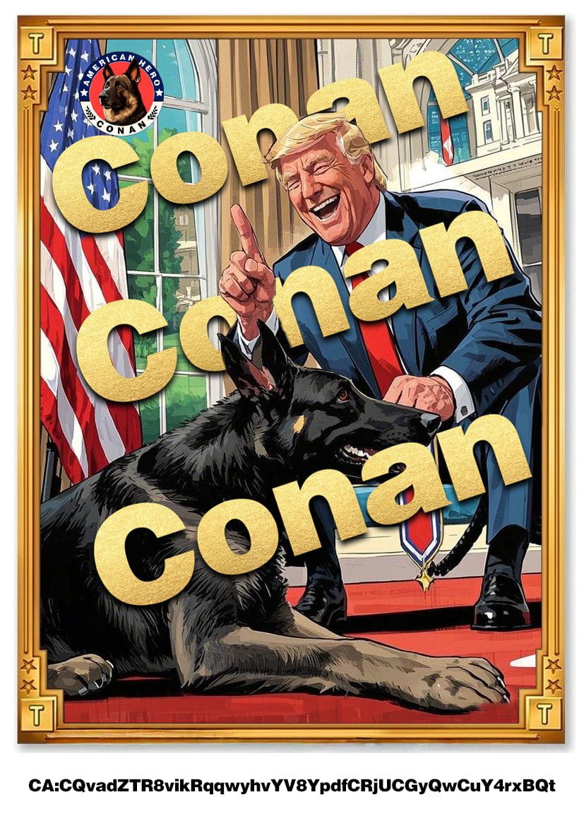 Virtuals expands to the Solana ecosystem, launching SOL rese | 小魚子 on ...