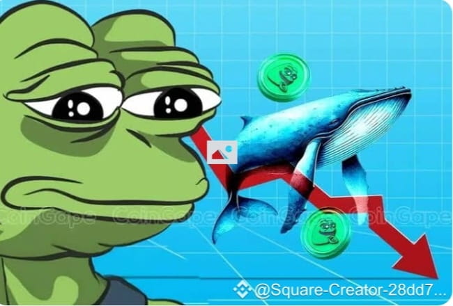 Can Pepe Coin ($PEPE ) Realistically Reach $0.01 or $1? Pep | Kalsoom ...