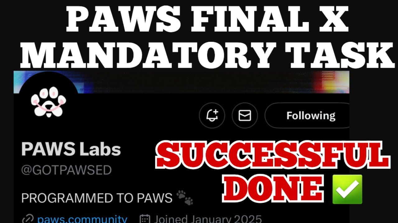 PAWS X FINAL MANDATORY TASK - How To Avoid Technical issues And Solve ...