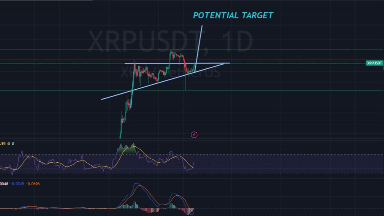 XRP BULL RUN!! | Crypto novice on Binance Square