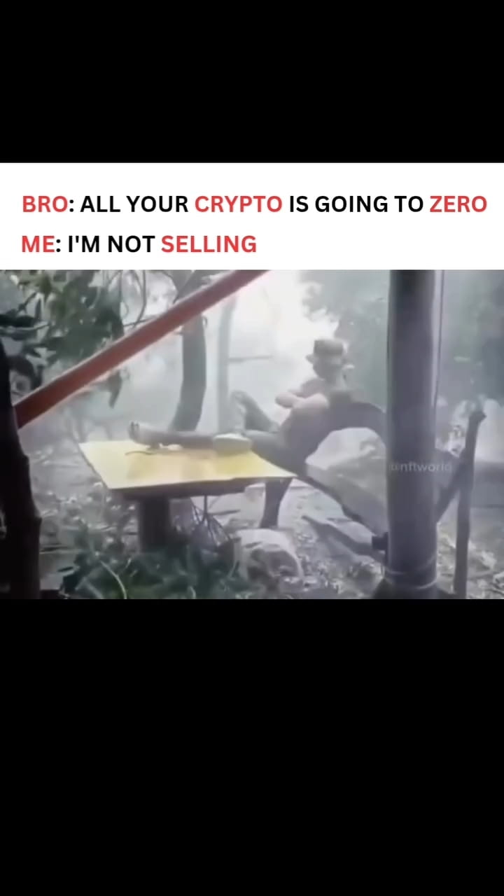 BRO: ALL YOUR CRYPTO IS GOING TO ZERO ME: I'M NOT SELLING | Enes on ...