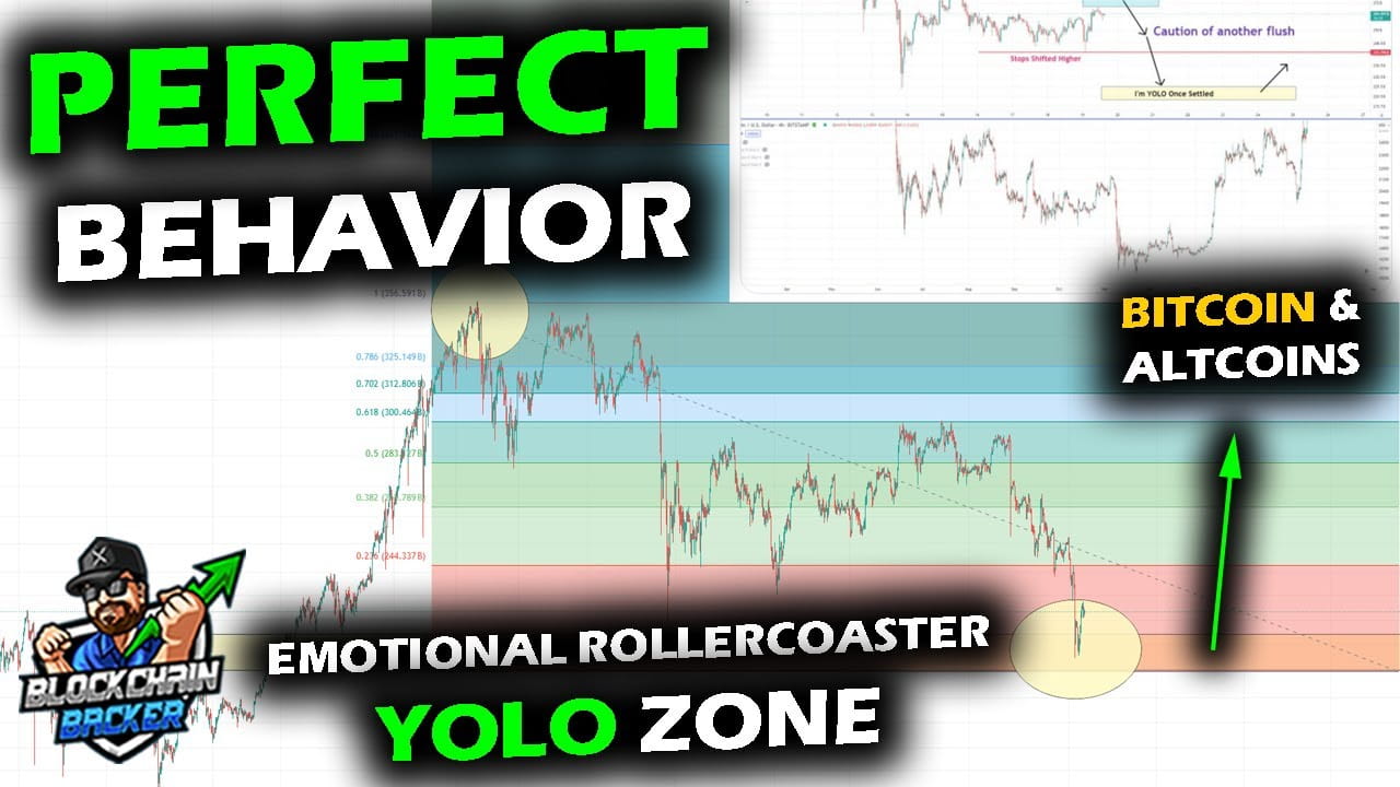 PERFECT BEHAVIOR for Altcoin Market Bottom Structure, BEWARE of ...