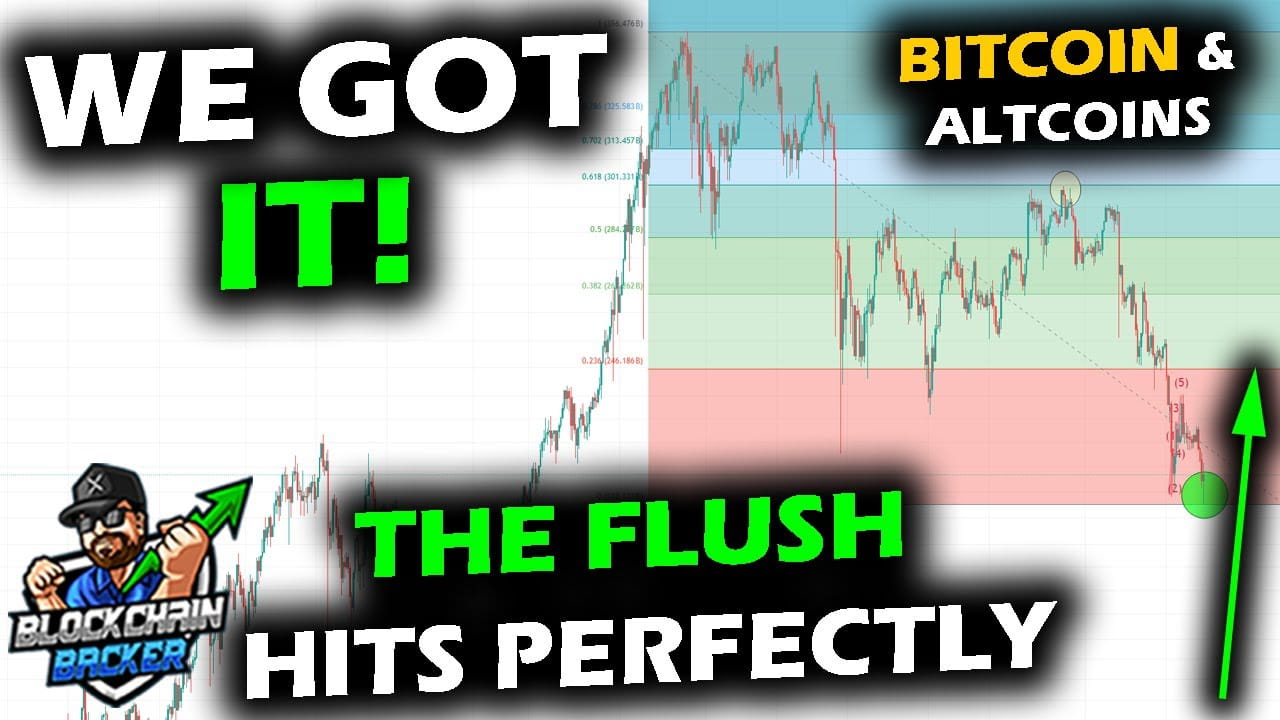 THERE IT IS! The Bitcoin Price Chart and Altcoin Market Flush to the ...