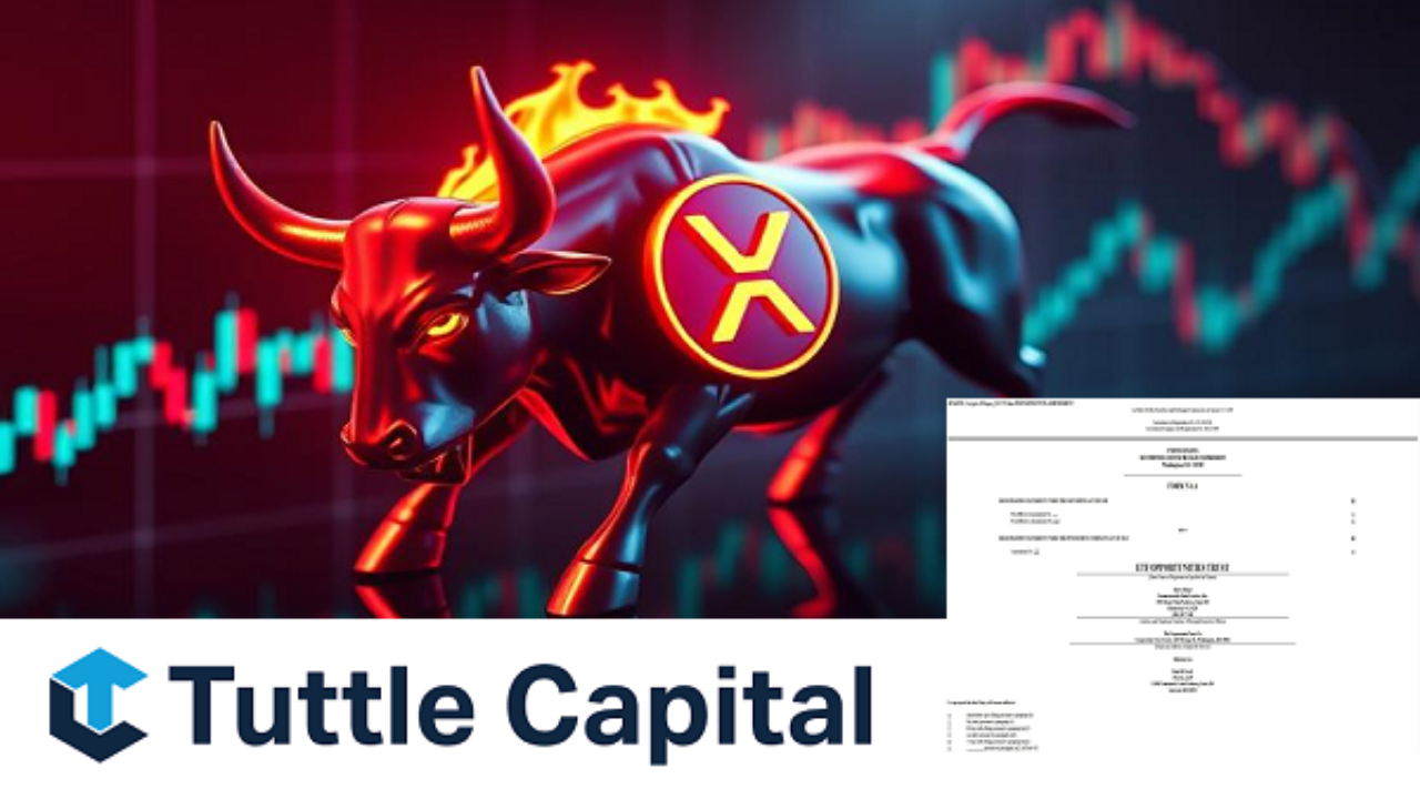 🚨Tuttle Capital filed application for XRP ETF! Monthly Cycles & Price ...
