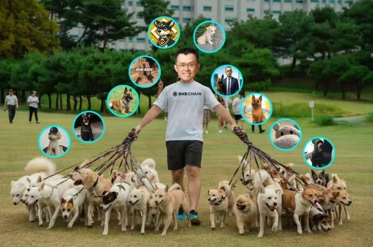 Zhao Changpeng Apologizes for the Broccoli Meme Coin! Can Compensation ...