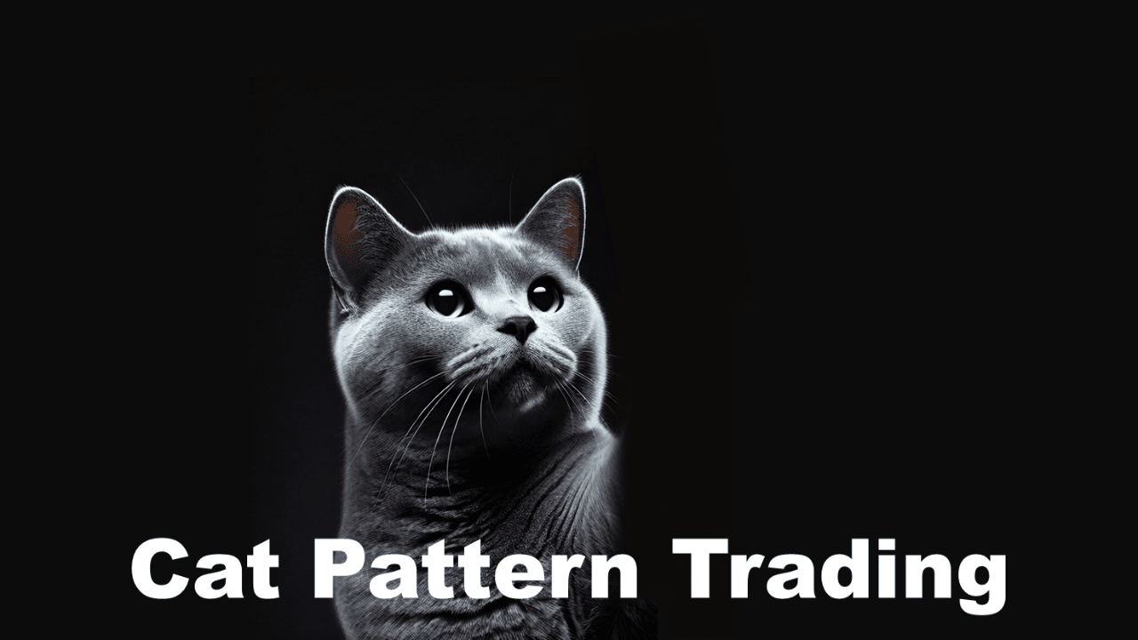 Cat Pattern Trading: A Satirical Take on Market Randomness "Cat Pattern ...
