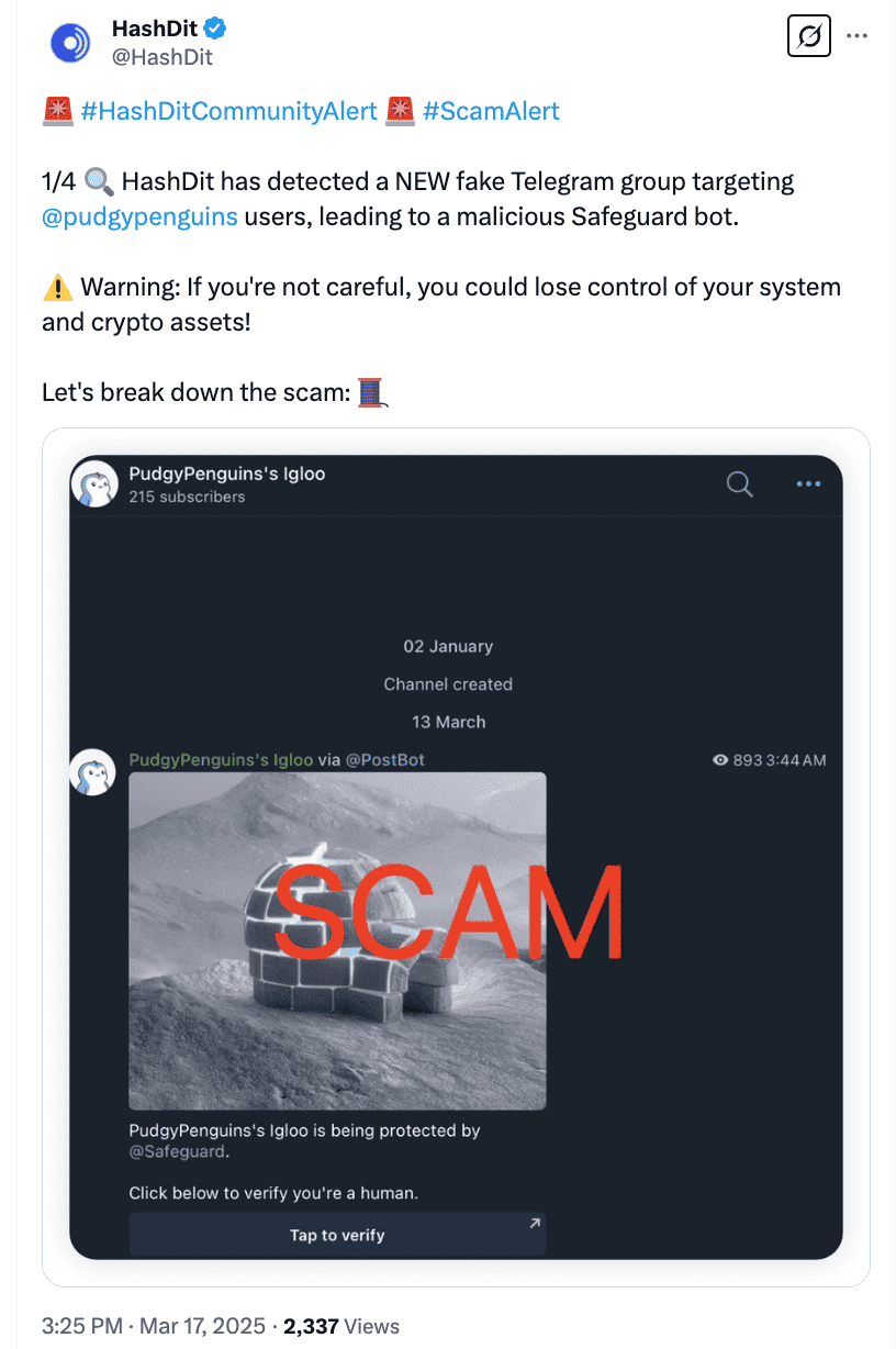 HashDit Warns Pudgy Penguins Users About Fake Telegram Group and Malicious Bot | Binance News on ...