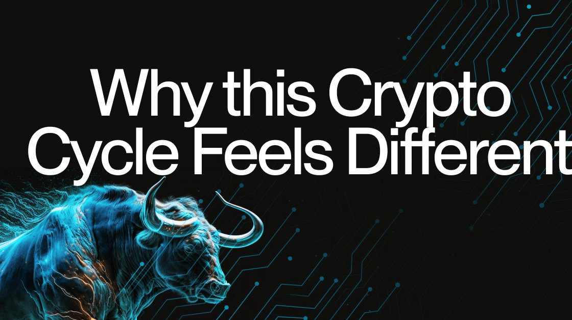 Bulls see this as the final dip before altseason takes off | menasaurio ...