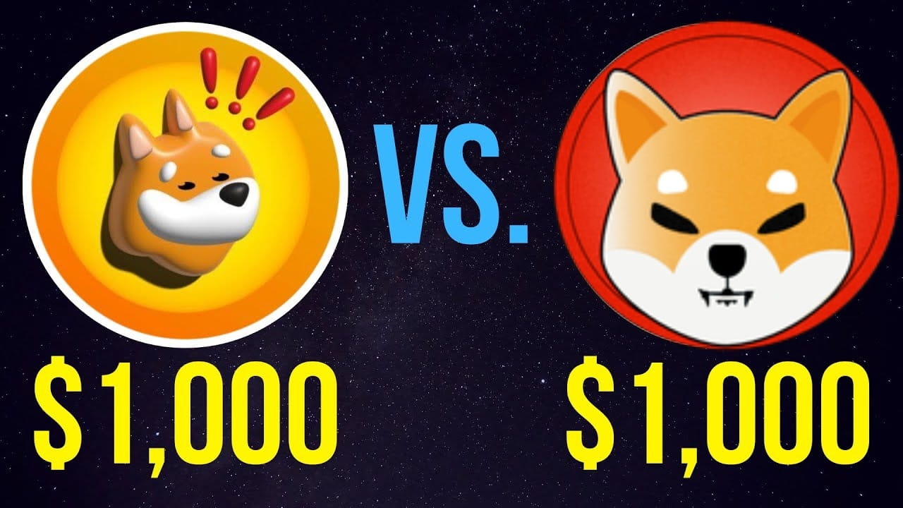 What Can Be The Maximum Value of $1000 in $BONK or $SHIB For | Mastering Crypto on Binance Square