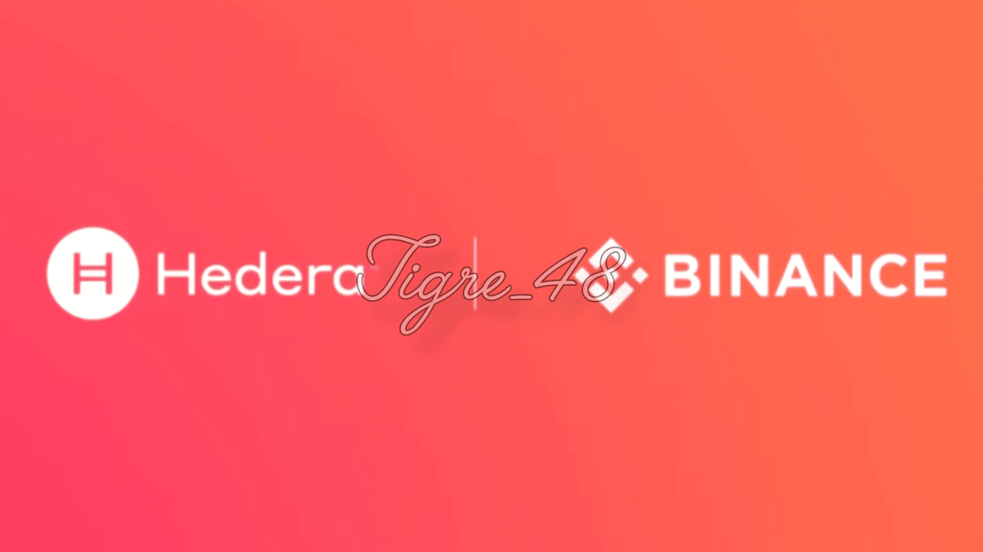 Hedera: The Fast, Efficient, and Accessible Blockchain | TIGRE_48 on ...