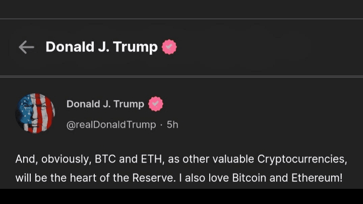 🤔 Is Market Manipulation Behind Trump's Meme Coin Tweets? Let’s Break ...
