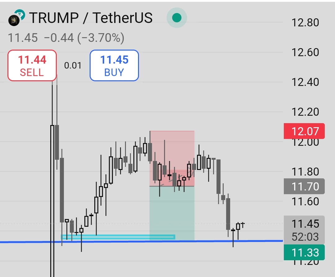 🎯 $TRUMP – Target Hit with Precision! 🚀 Another Profit | Trader Rai on Binance Square