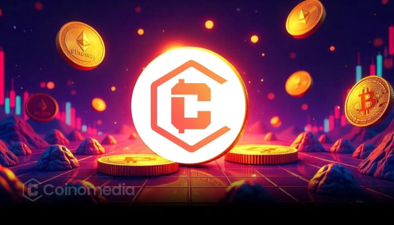 La FDIC Permite a los Bancos Participar en Criptomonedas Sin Aprobación ...