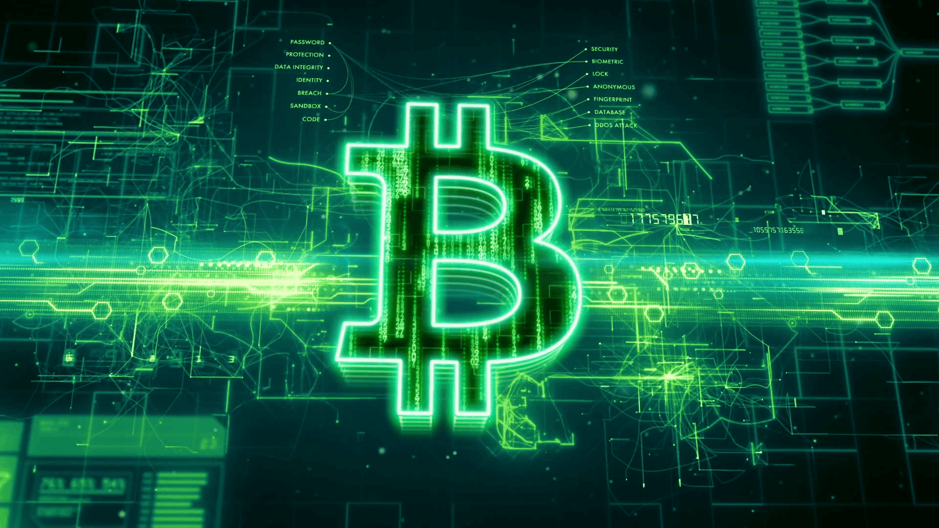 What Kind of Future Does Bitcoin Have? It is essential to d ...