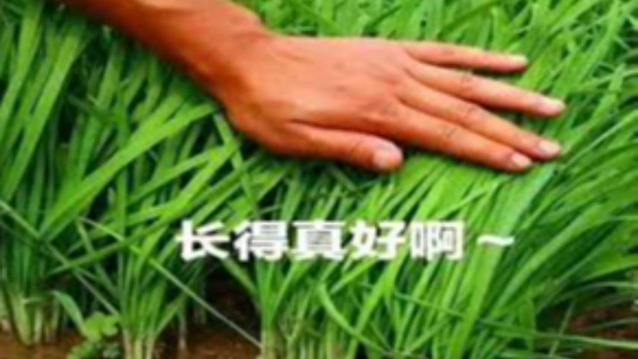 The GPS and SHELL Market Maker Incident | 川河路 on Binance Square