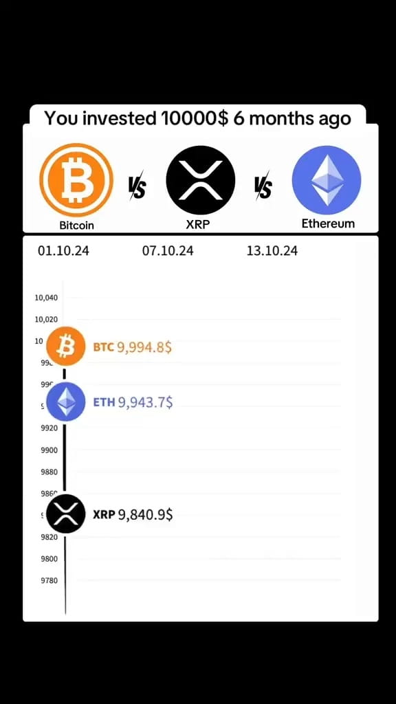 POV: You invested $10,000 in XRP 6 months ago instead of BTC or ETH. 🔥👇 | blogtienso on Binance ...