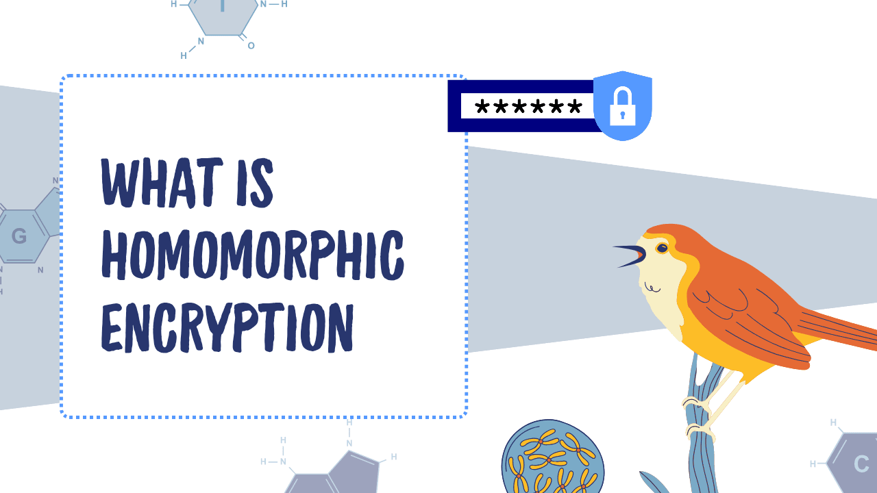 Explain Like I'm Five : Fully Homomorphic Encryption (FHE ...