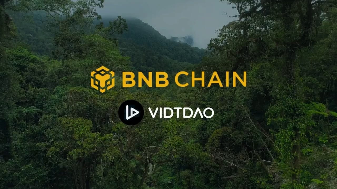 🔥Big news for @VIDT_DAO 🔥 Carbon Timestamps + BNB CHAIN + VIDT tech bring trust to the carbon ...
