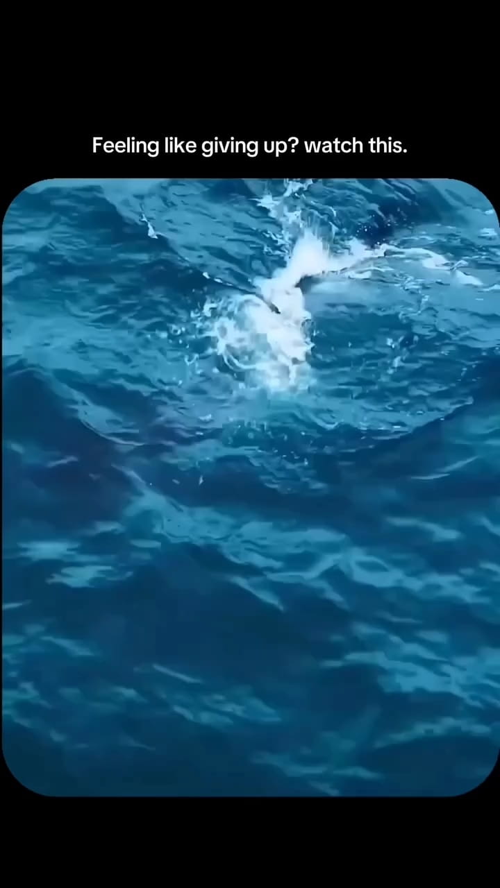 Feeling like giving up Watch this | Enes on Binance Square