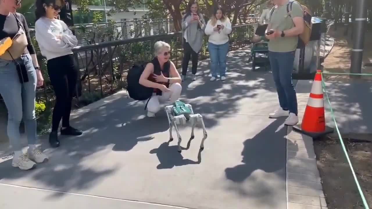 🌉 ZETA dog out for a stroll in sunny Salesforce Park. Turning heads ...