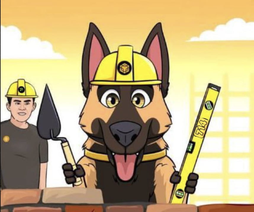 BROCCOLI Project Interview: Inside the Meme Coin Winner of Binance Vote ...