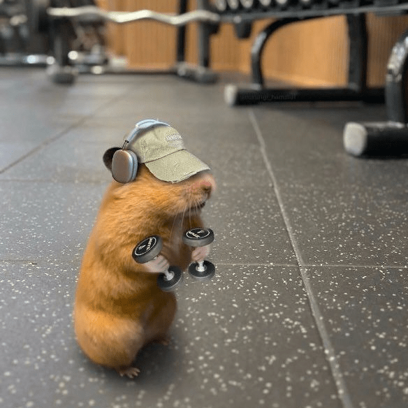 Profil Zaaford | Binance Square