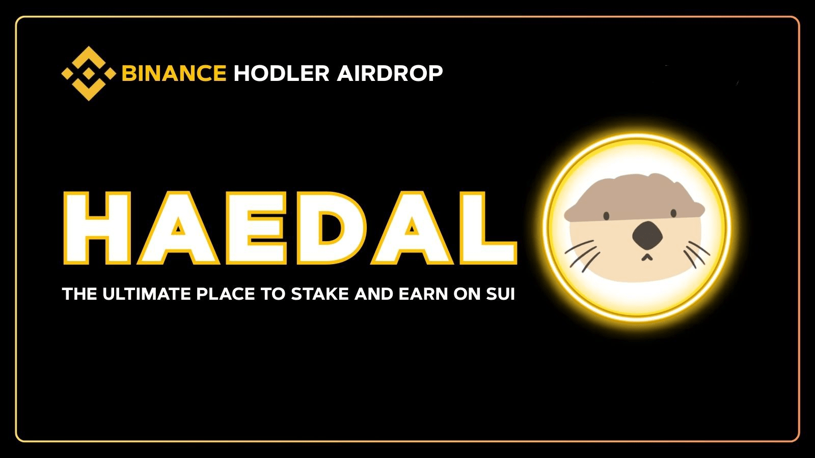 Binance Welcomes Haedal Protocol $HAEDAL – The 19th HODLer Airdrop ...