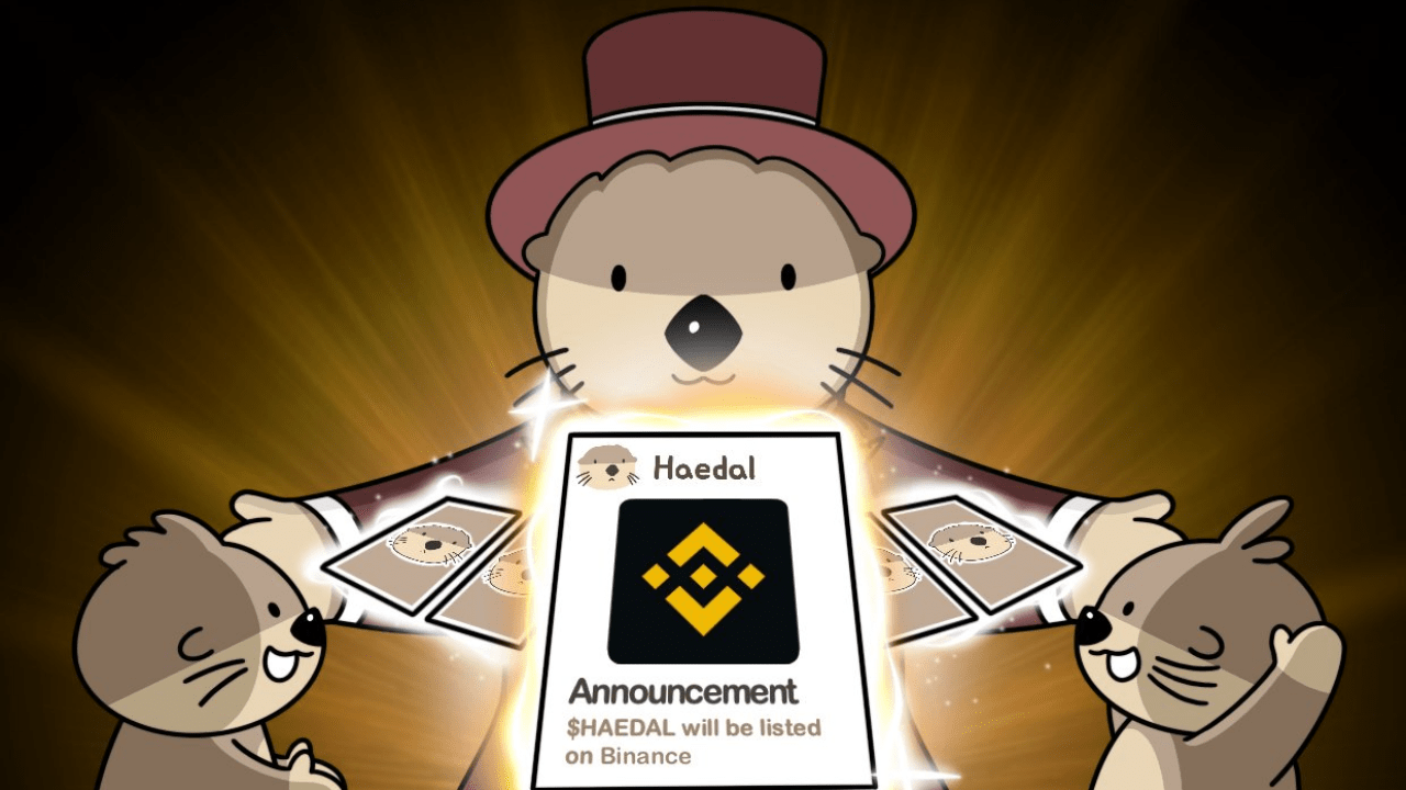 From Staking to Win-Win: Haedal Protocol's Breakthrough Path in the Sui ...