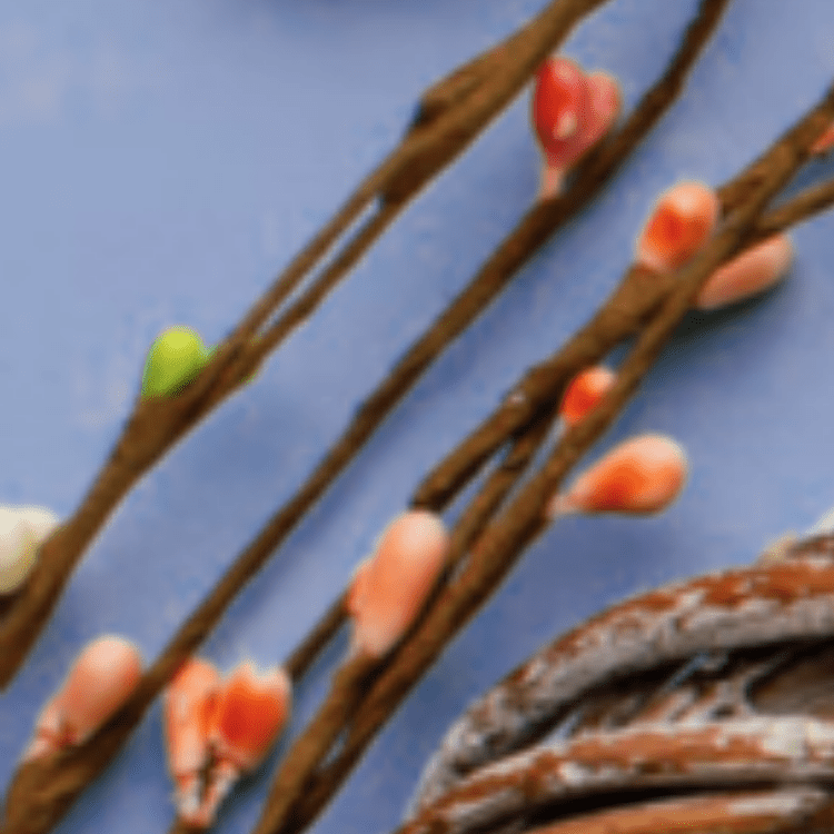 YuliaV's Profile | Binance Square