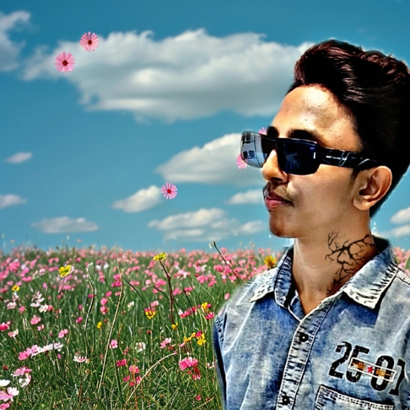 Shazaan Taimoor's Profile | Binance Square