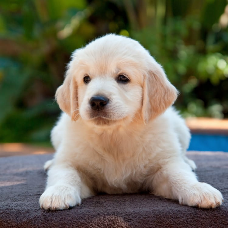 Crypto_Ankeet's Profile | Binance Square