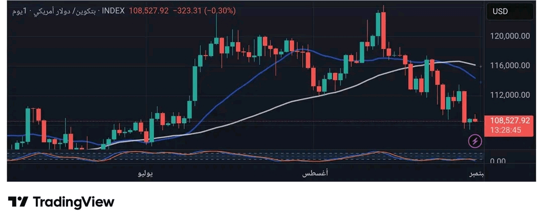 Whales are changing the game on Binance.. What does this mean for you ...