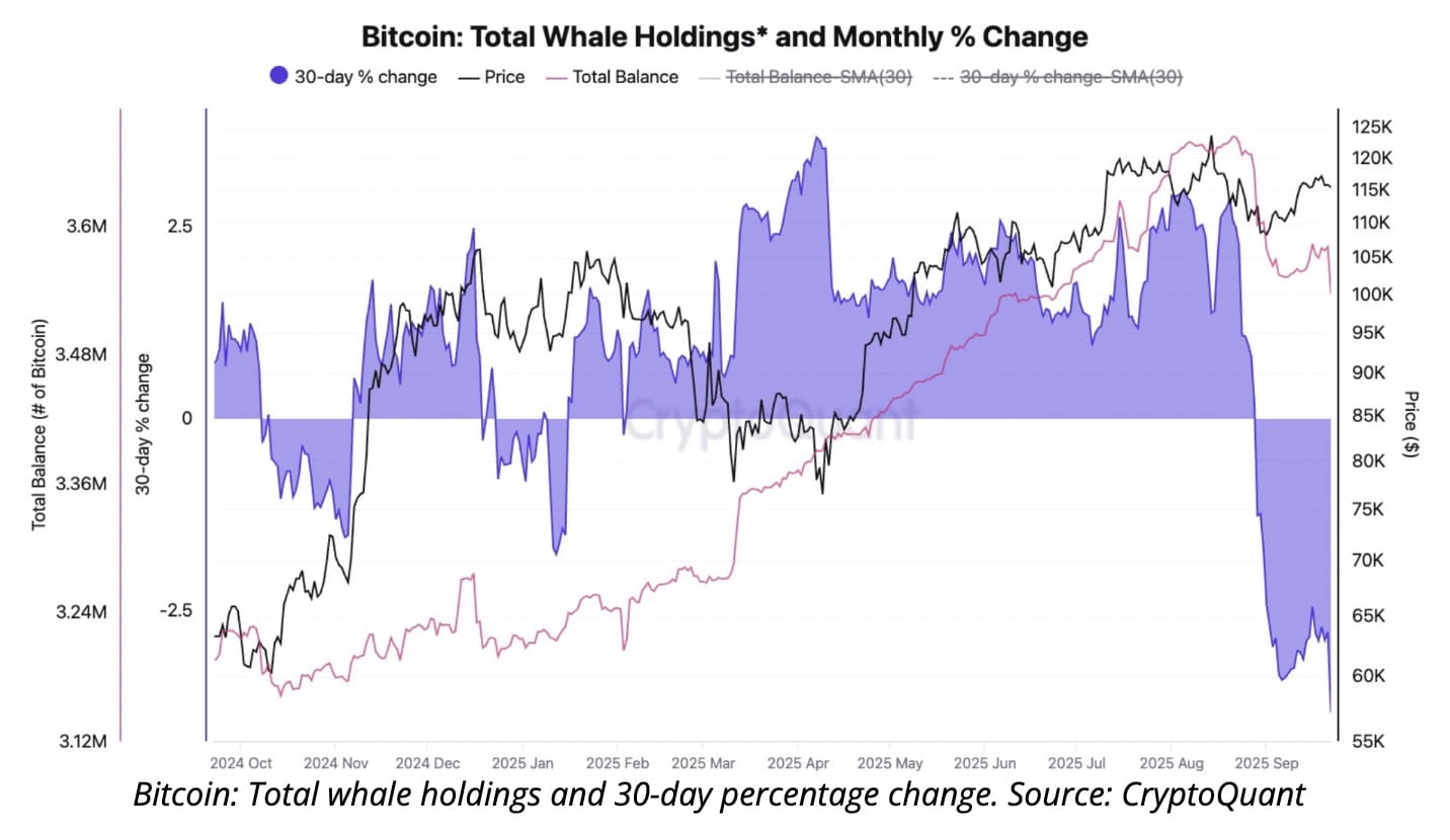 Bitcoin News: Bitcoin Whales Dump $16.5B in BTC, Is a $100K Price Target Next? | Binance News on ...