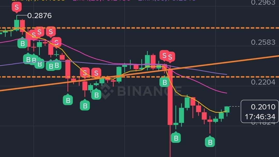 Right now I am holding $POL in USDT pair for spot and will sell it with ...