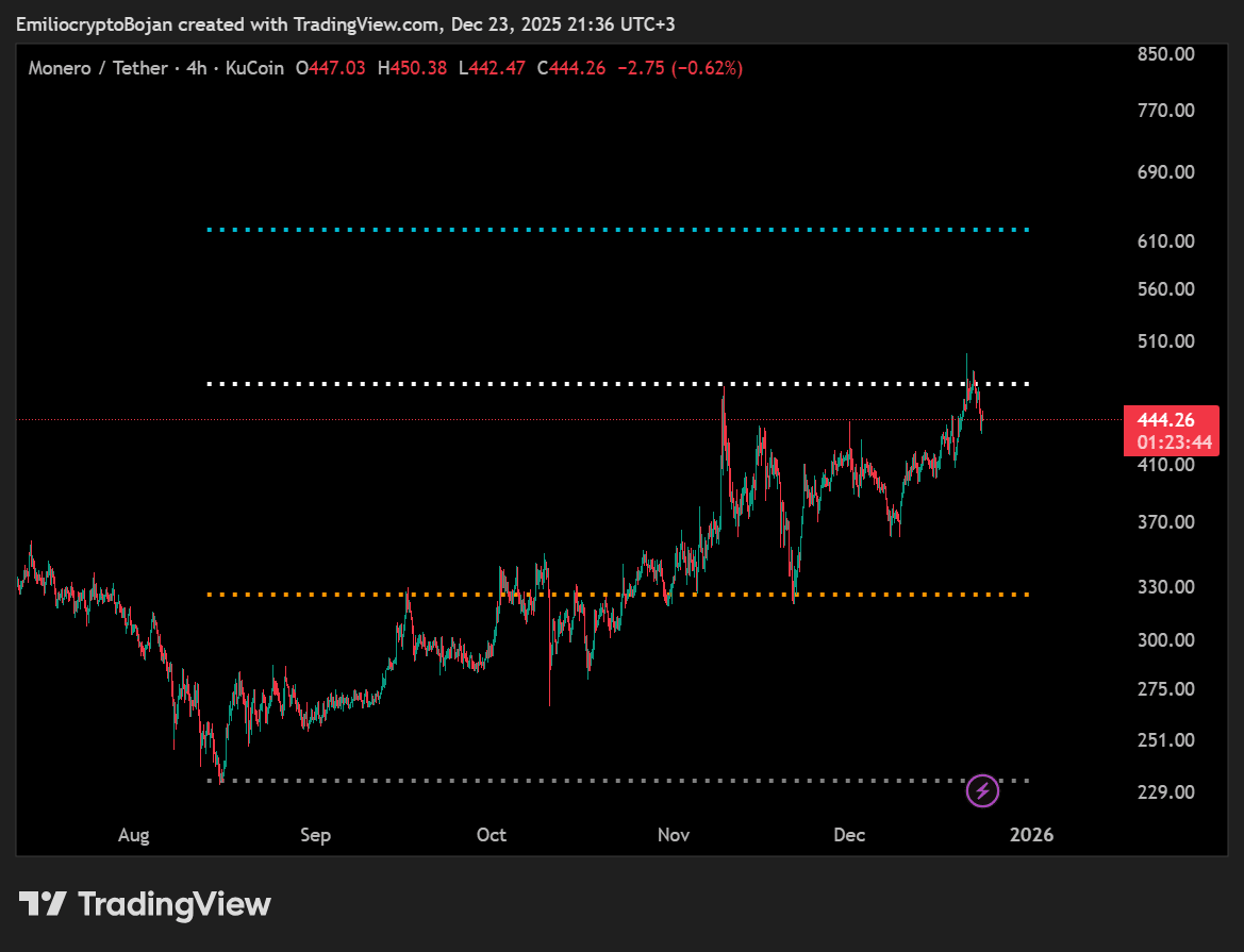 #XRMUSDT Actualización Moreno hizo exactamente lo que diji | Emilio ...