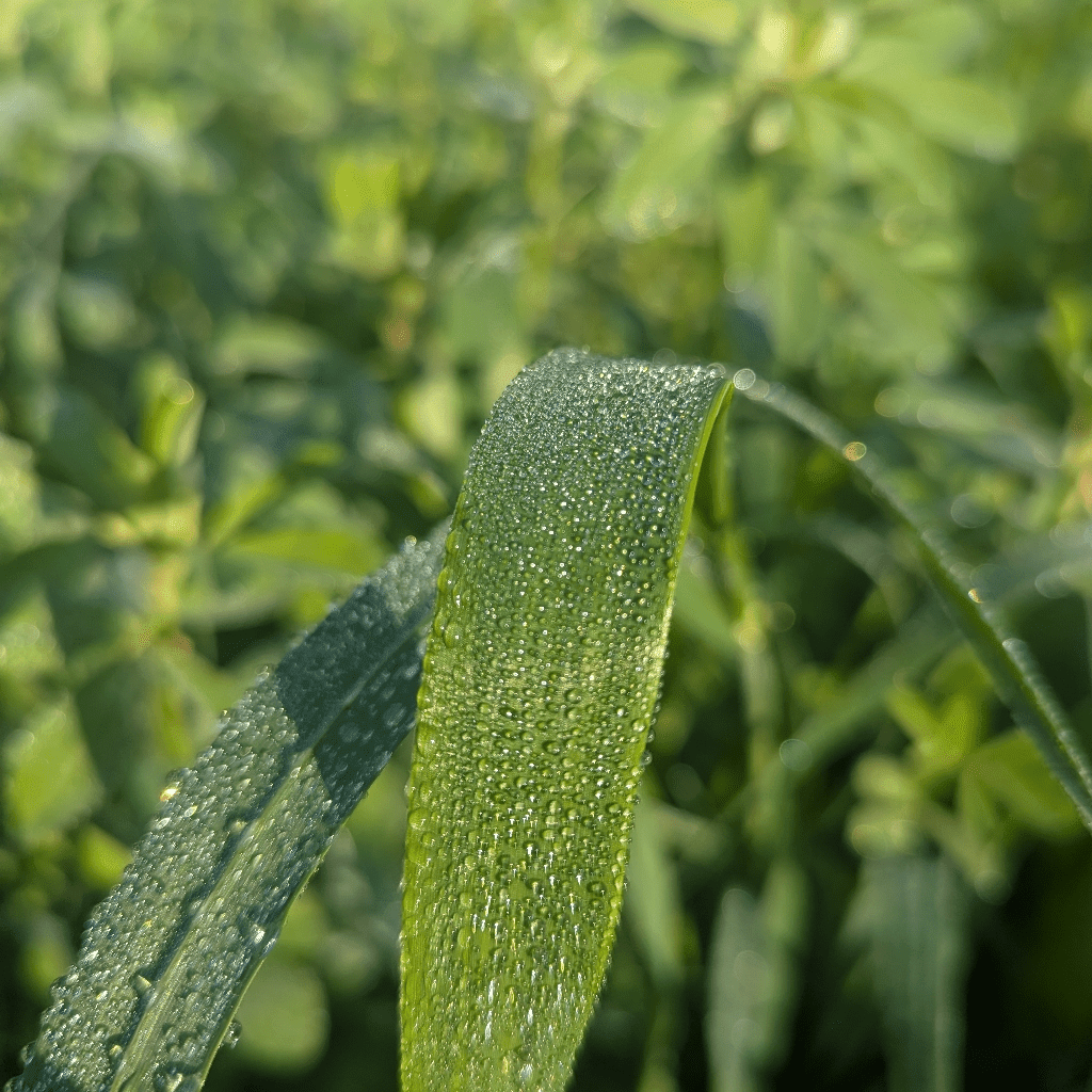 Michel jacson's Profile | Binance Square