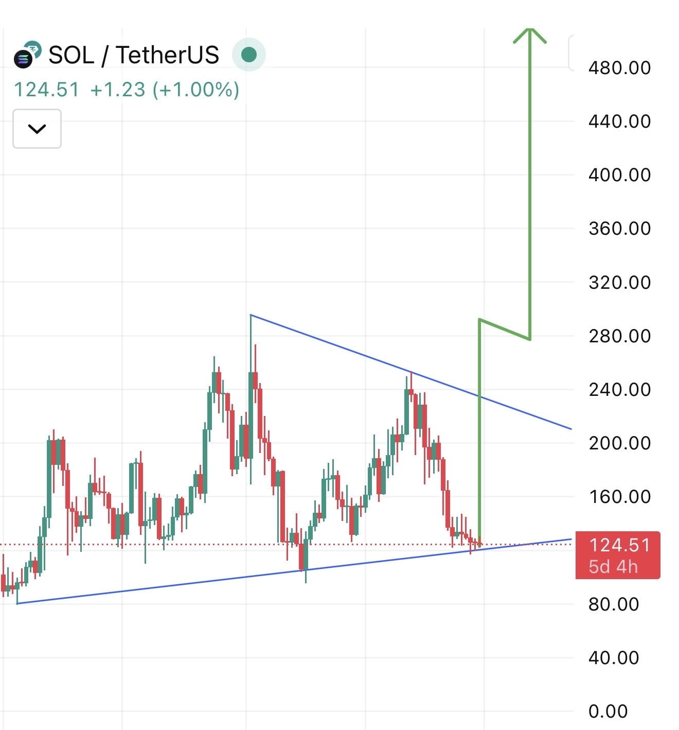Nous pouvons voir $SOL $1000+ arrivée de taureaux 🚀🚀🚀 ...