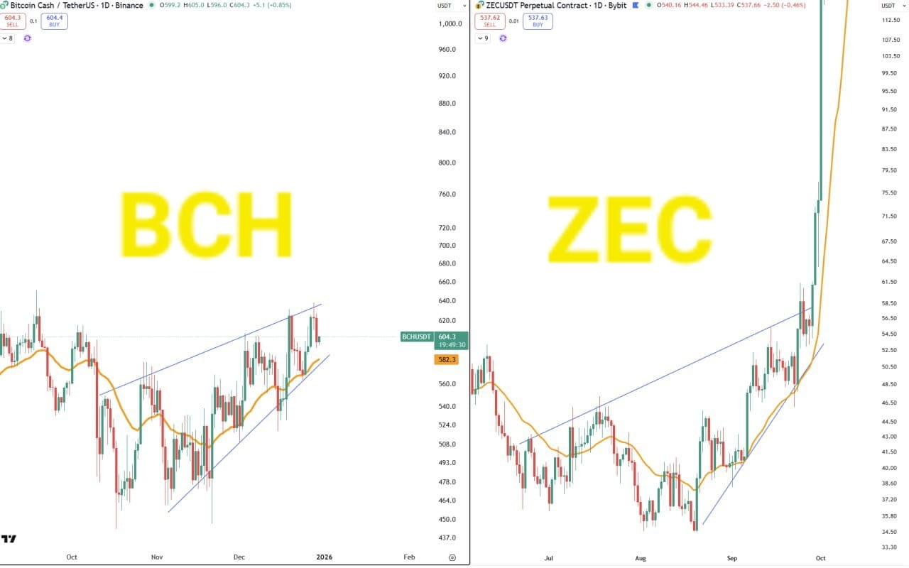 $BCH 🌟 BCH BREAKING UPDATE 💡 BCH PRICE MUST BE $1200 | VIP TRADING ...